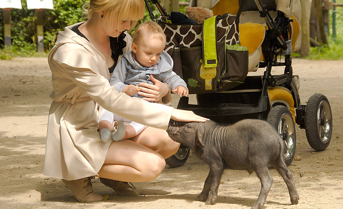 Hallo Baby! - Tierpark Görlitz